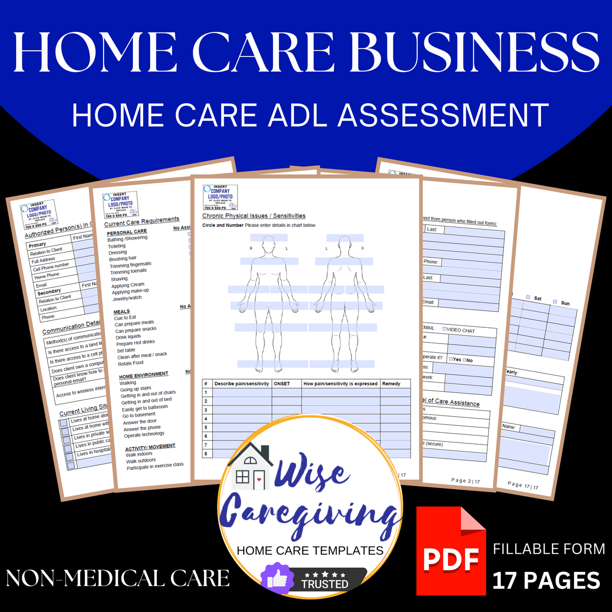 Care Assessment Fillable Form Template (NON-MEDICAL)