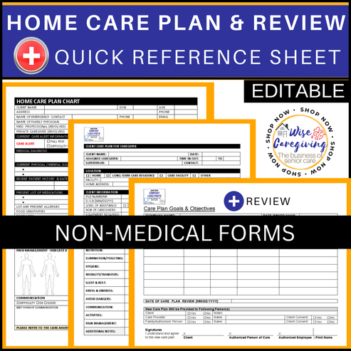 Home Care Plan Template Bundle | Document Needs & Manage Compliance